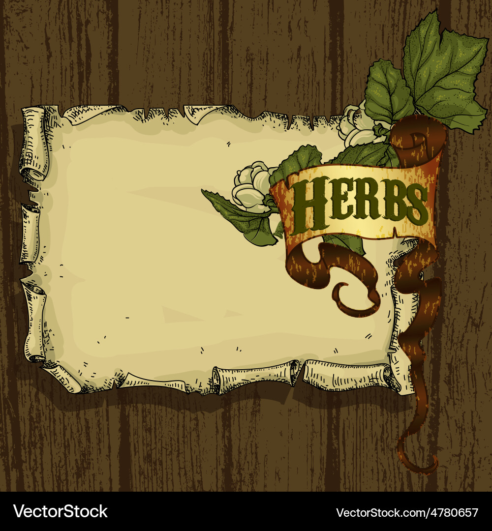 Natural herbs Royalty Free Vector Image - VectorStock