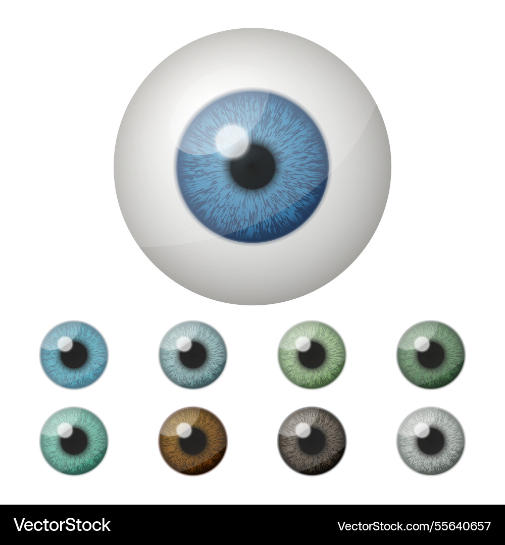 Realistic isolated round eyeballs set Royalty Free Vector