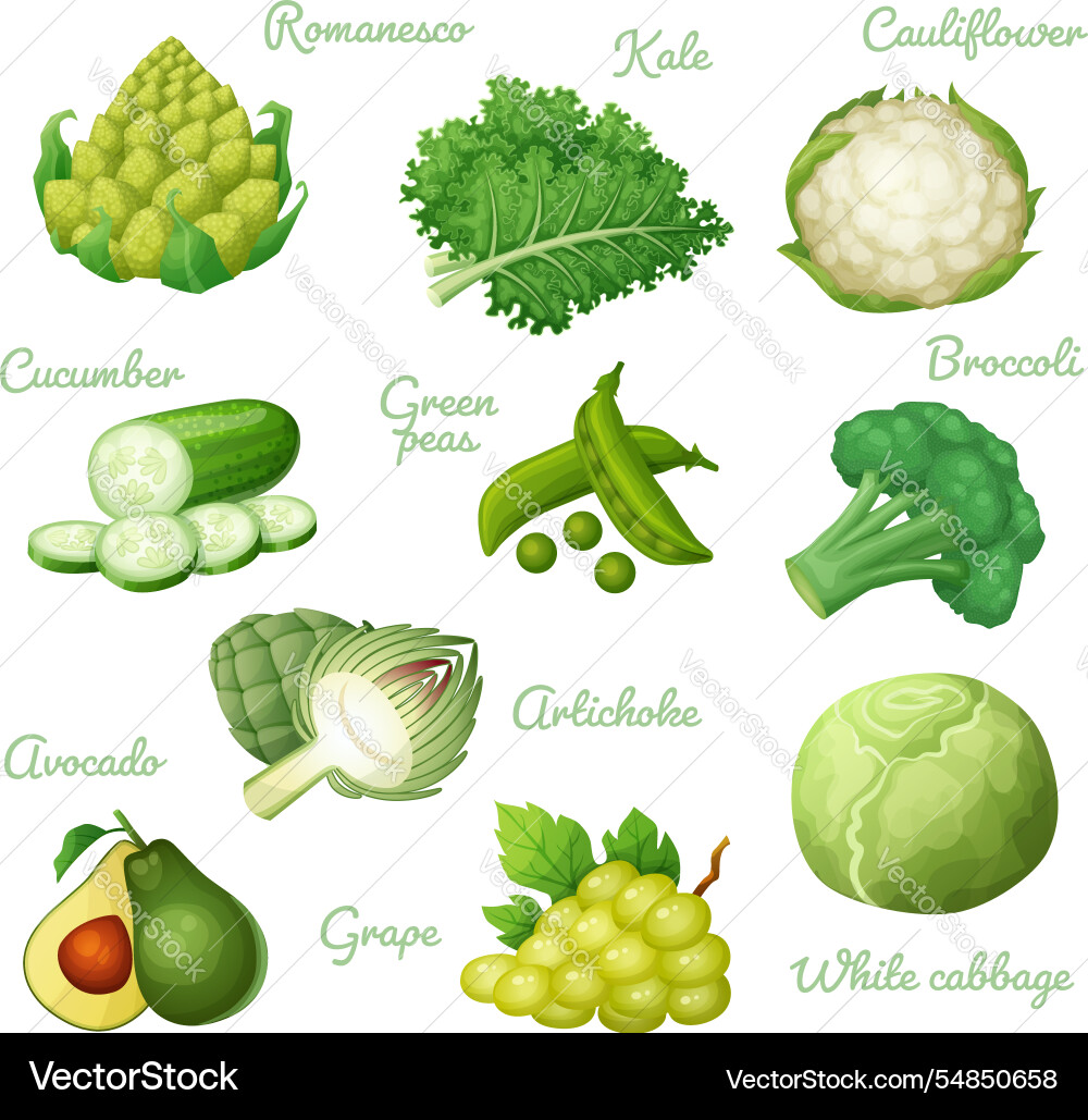 Green vegetables icons collection isolated Vector Image