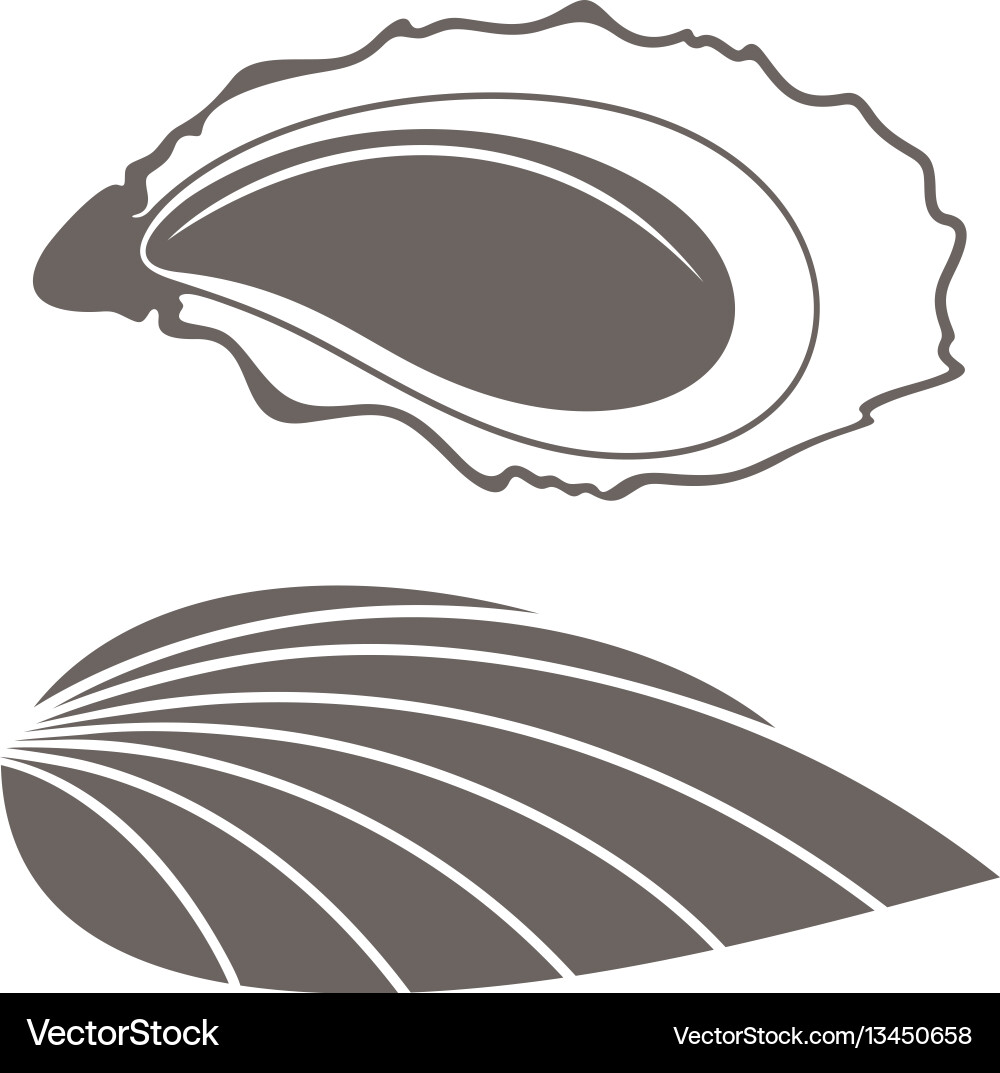 Oyster Royalty Free Vector Image - VectorStock