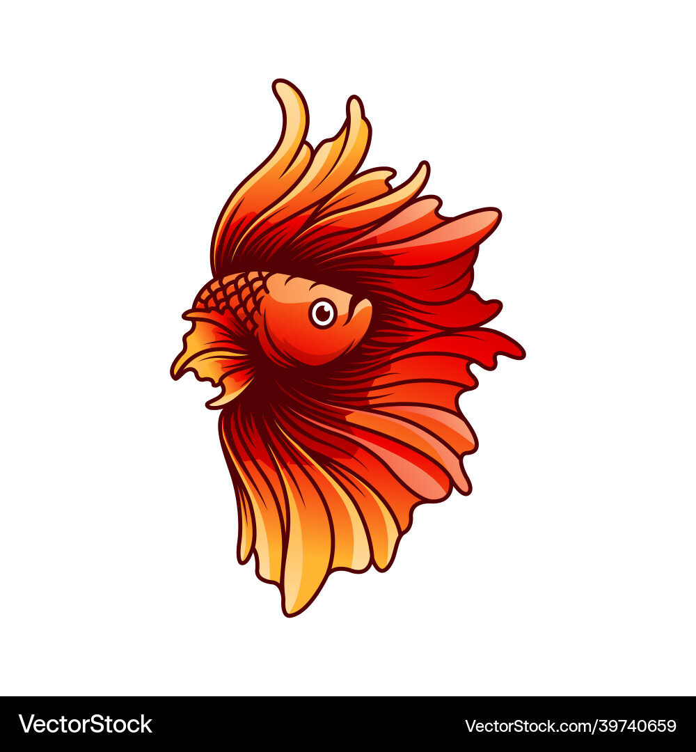 Betta fish Royalty Free Vector Image - VectorStock