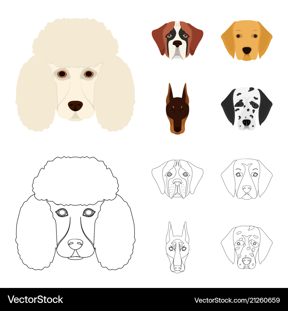 Muzzle of different breeds dogsdog Royalty Free Vector Image