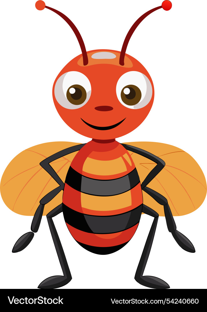 Elegant ant Royalty Free Vector Image - VectorStock