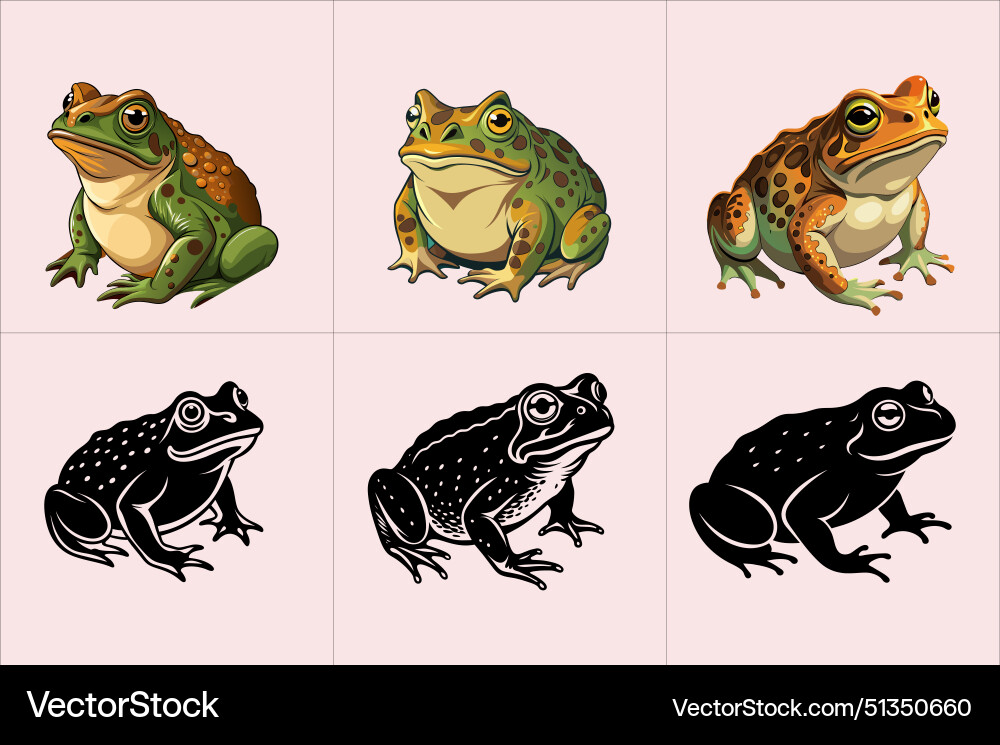 Print frog Royalty Free Vector Image - VectorStock