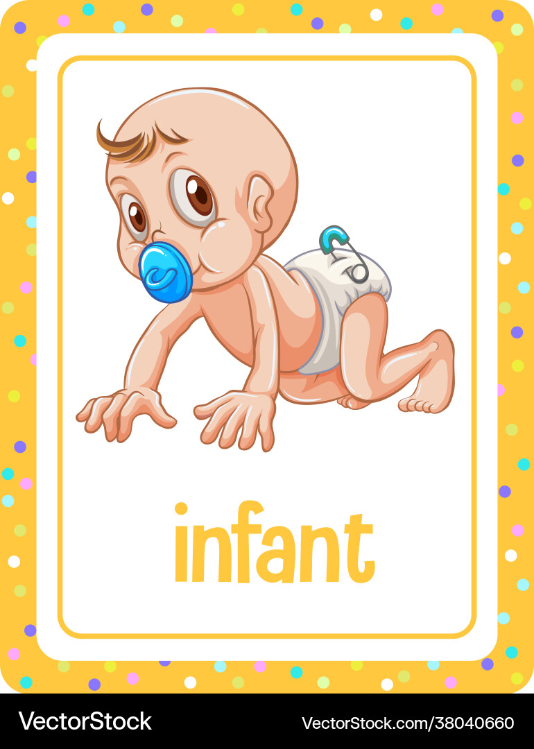 Vocabulary flashcard with word infant – Royalty-Free Vector | VectorStock