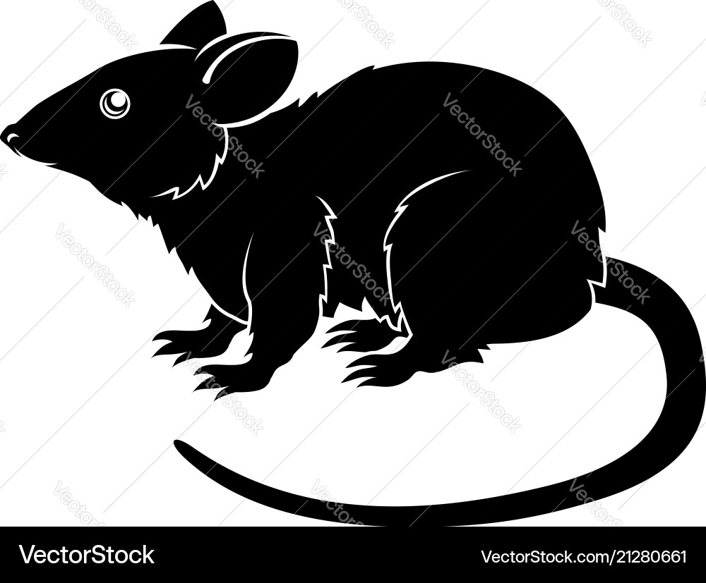 Stylized rat Royalty Free Vector Image - VectorStock