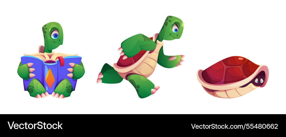 Cute cartoon tortoise character in different poses
