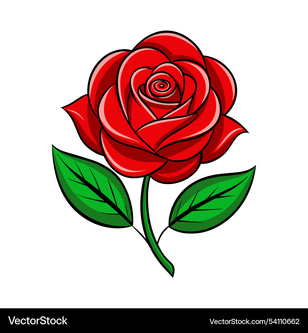 Hand draw red rose Royalty Free Vector Image - VectorStock