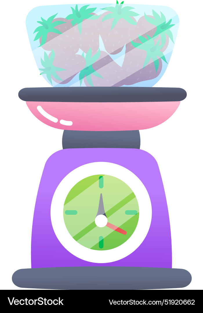 Kitchen scale Royalty Free Vector Image - VectorStock