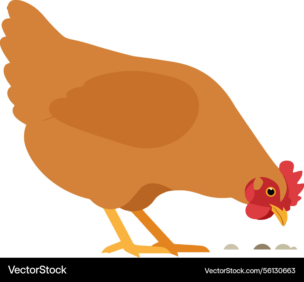 A brown hen pecking at the ground in flat Vector Image