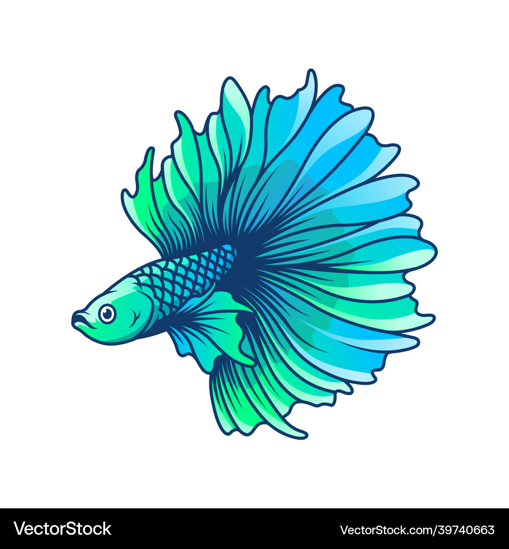Betta fish Royalty Free Vector Image - VectorStock
