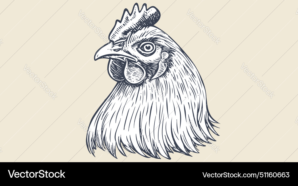 Chicken hen head vintage retro print Royalty Free Vector