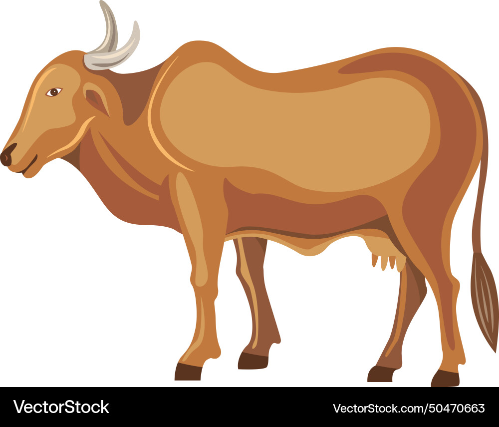 Indian cow standing brown isolated Royalty Free Vector Image