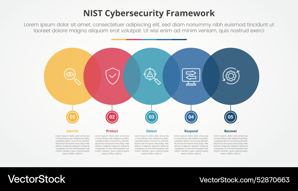 Nist cybersecurity framework infographic concept Vector Image