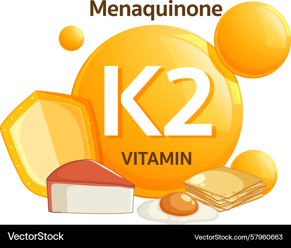 Vitamin K2 with Dairy & Natto Royalty Free Vector Image