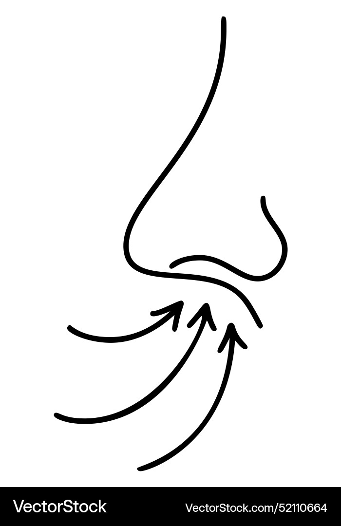 Human runny nose in profile line simple Royalty Free Vector