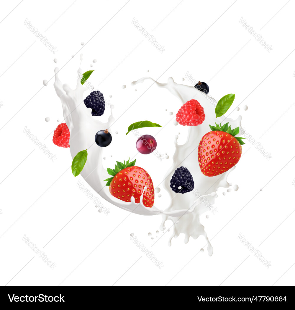 Milk swirl yogurt wave splash with berries Vector Image