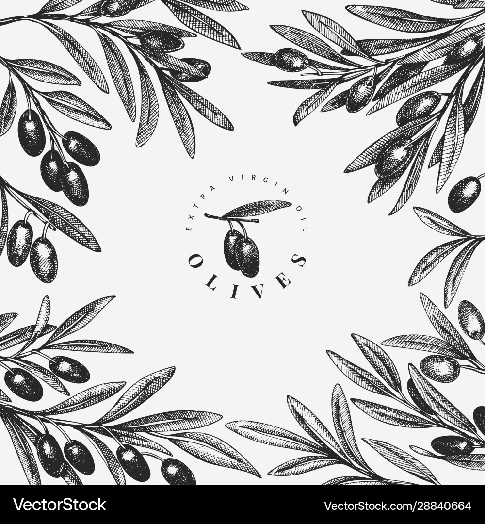 Olive branch design template hand drawn food Vector Image
