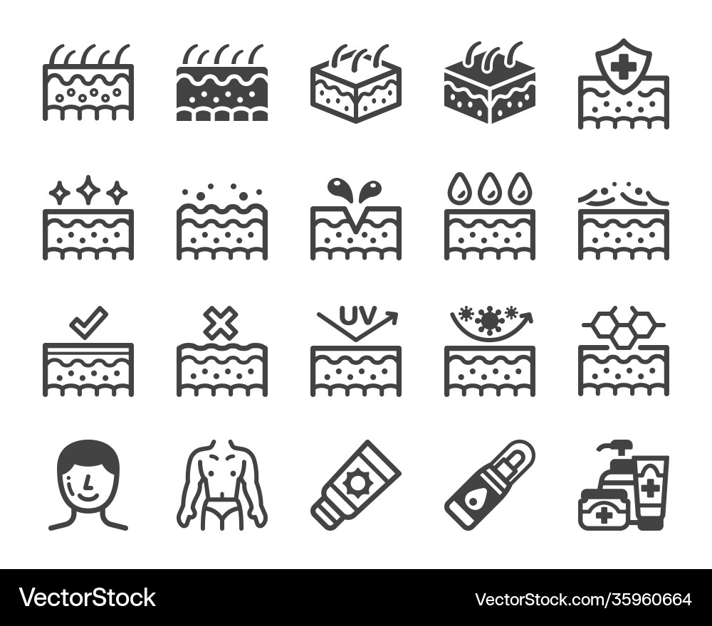 Skin icon set Royalty Free Vector Image - VectorStock