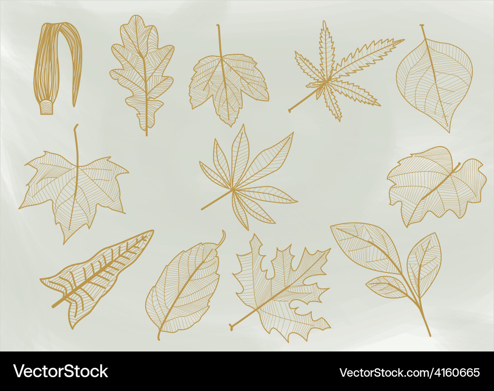 Line leaves Royalty Free Vector Image - VectorStock