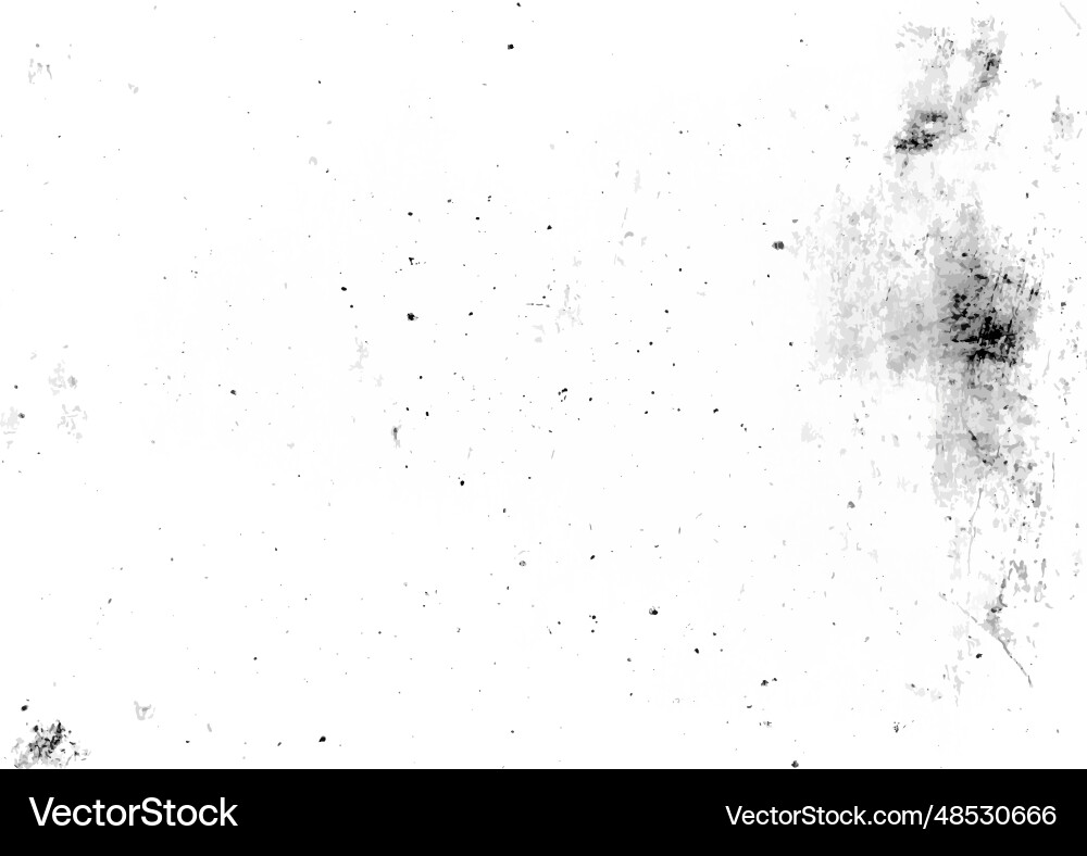 Detailed grunge style dusty texture background Vector Image