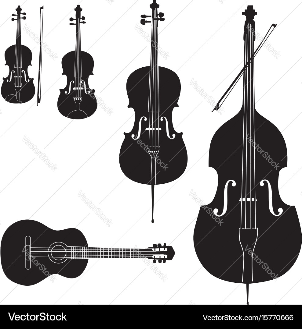 Music instruments set stringed musical instrument Vector Image