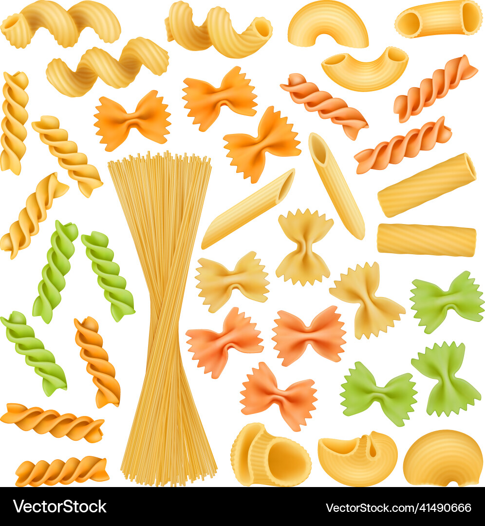 Realistic pasta italian spaghetti shells Vector Image
