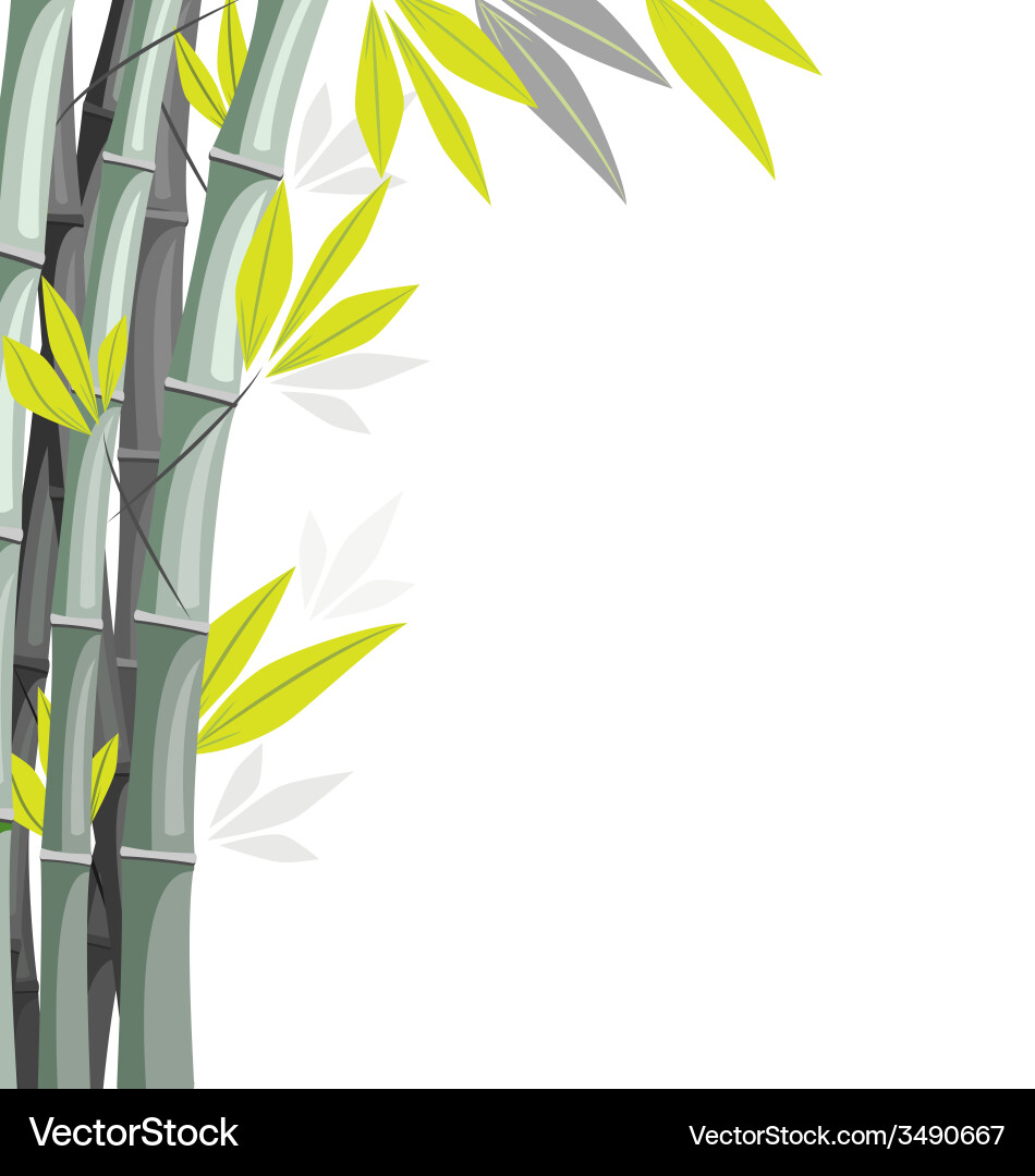 Bamboo isolated on white Royalty Free Vector Image