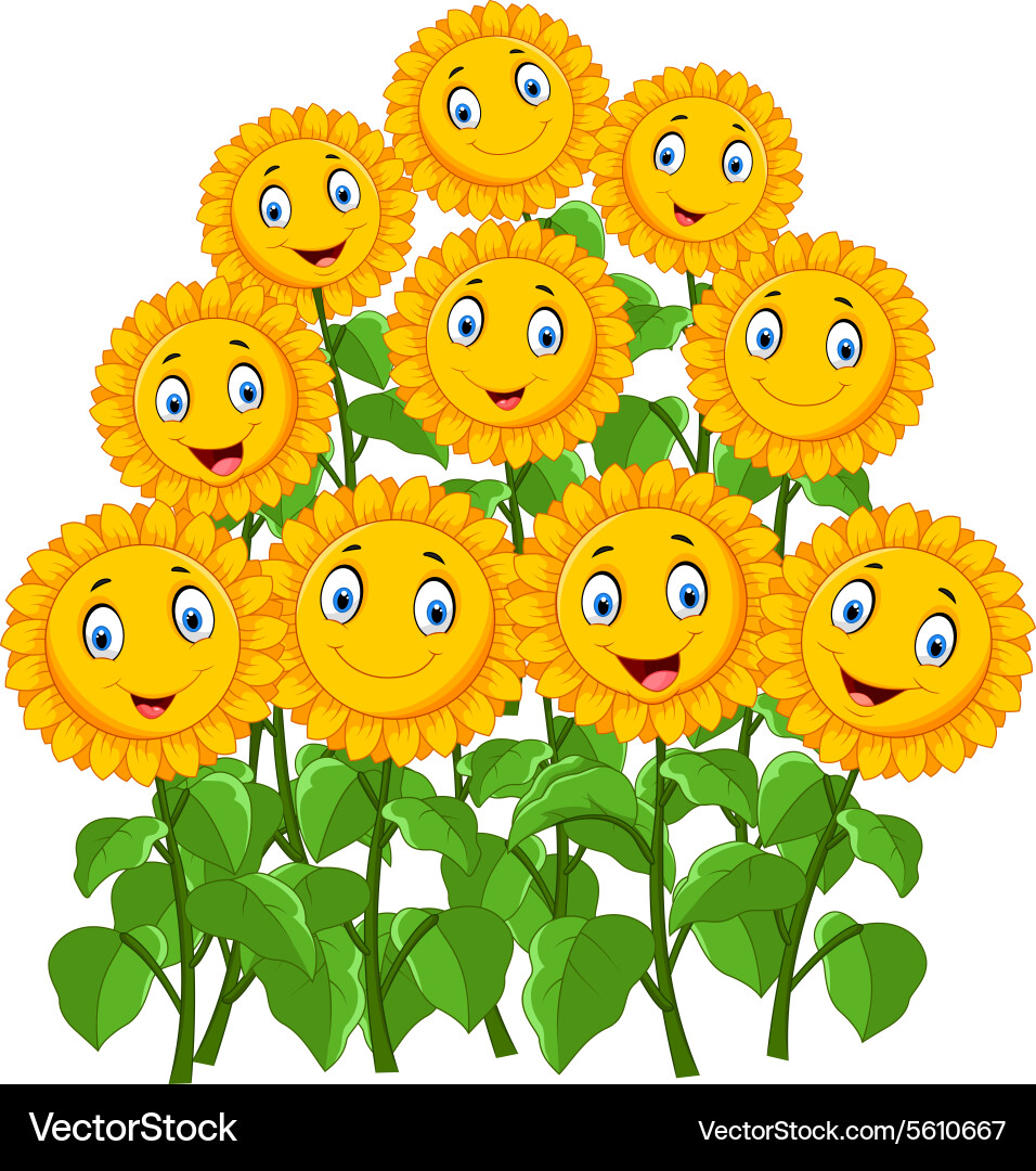Cartoon happy sunflowers Royalty Free Vector Image