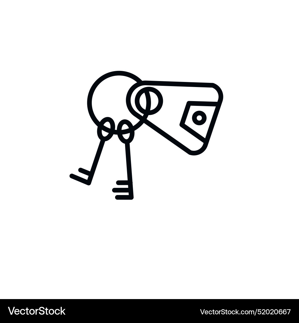Key chain icon outline collection in black Vector Image