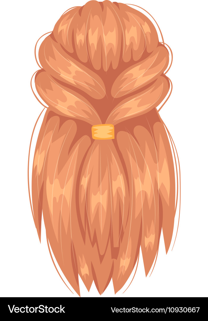 Woman hairstyle back view Royalty Free Vector Image