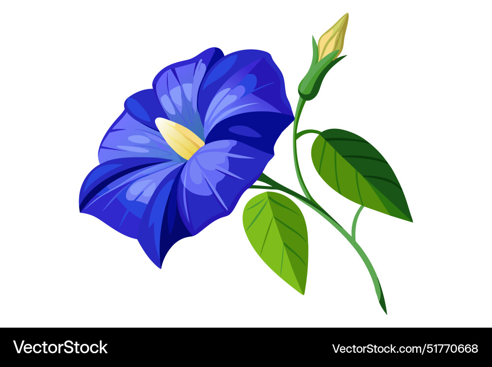 Butterfly pea flower flat Royalty Free Vector Image