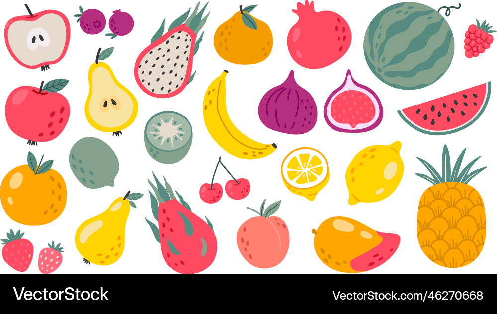 Hand drawn fruits doodle natural tropical fruit Vector Image