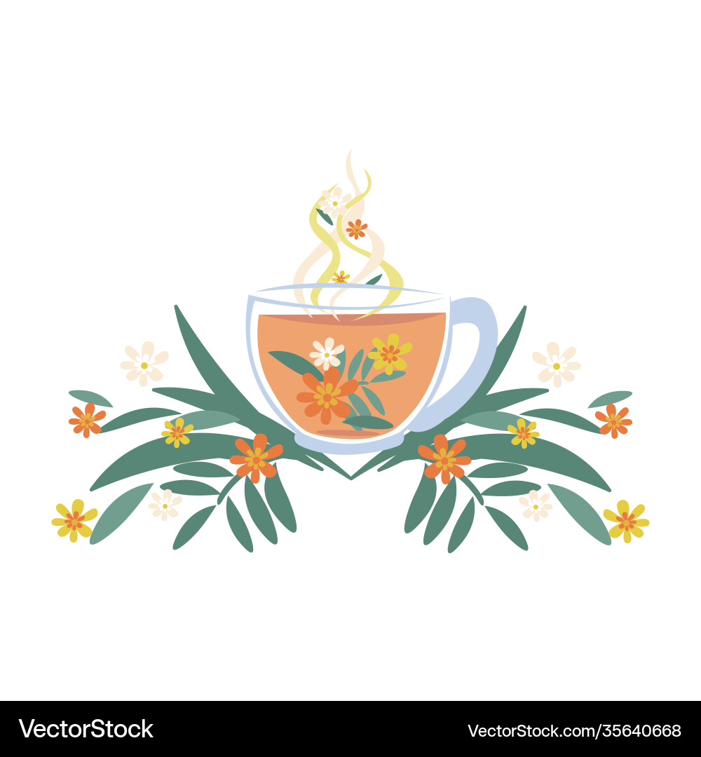 Herbal tea Royalty Free Vector Image - VectorStock
