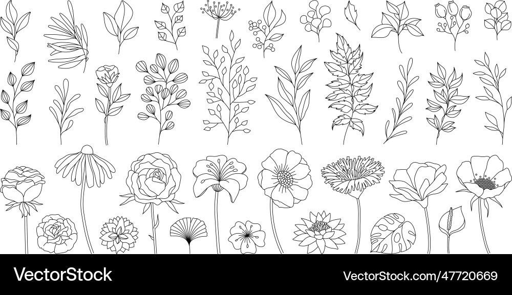 Botanical drawing minimal thin line plant Vector Image