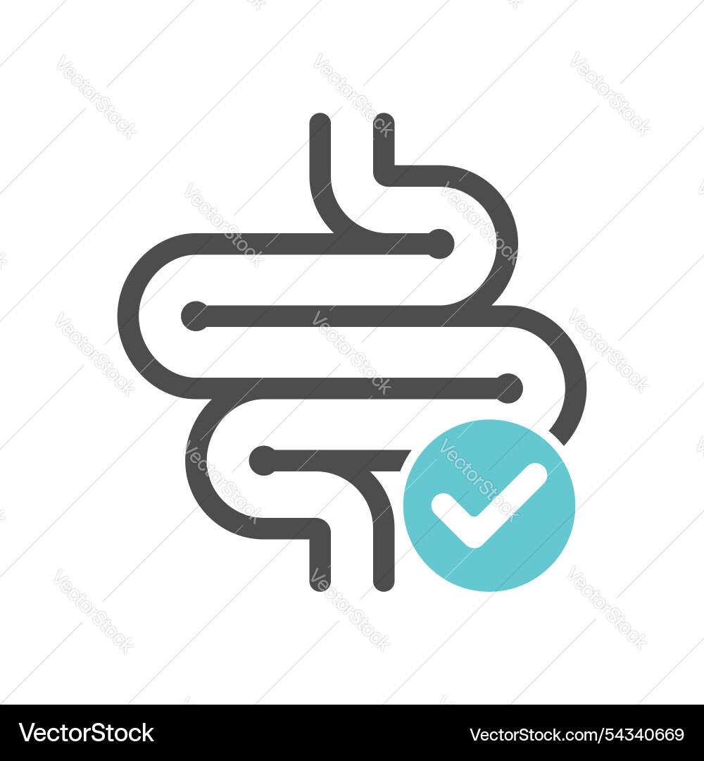 Healthy digestion icon Royalty Free Vector Image