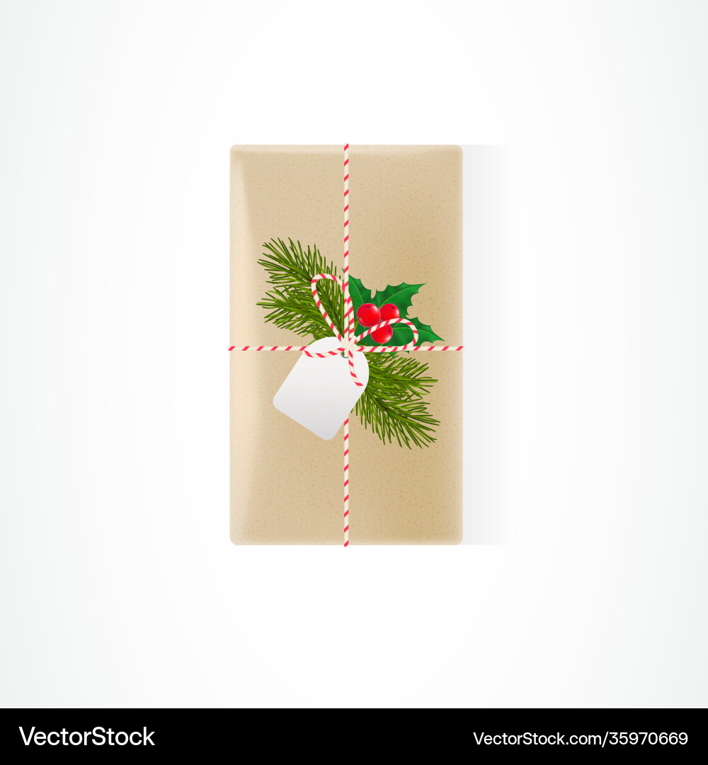Present package Royalty Free Vector Image - VectorStock