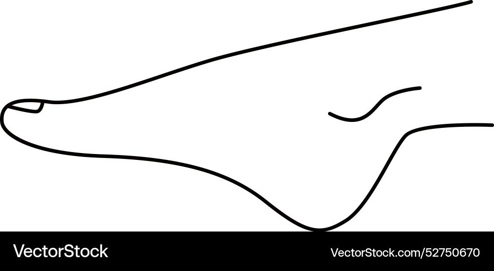 Human leg line Royalty Free Vector Image - VectorStock