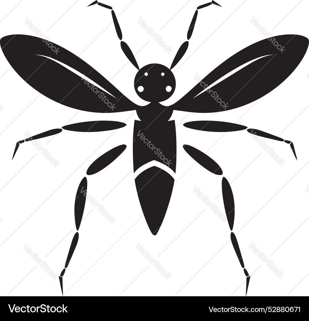 Graceful insect silhouette line art stick insect Vector Image