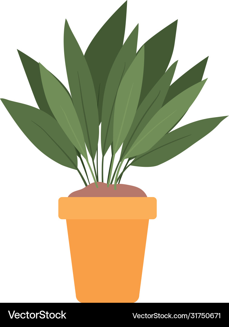 Isolated plant inside pot design Royalty Free Vector Image