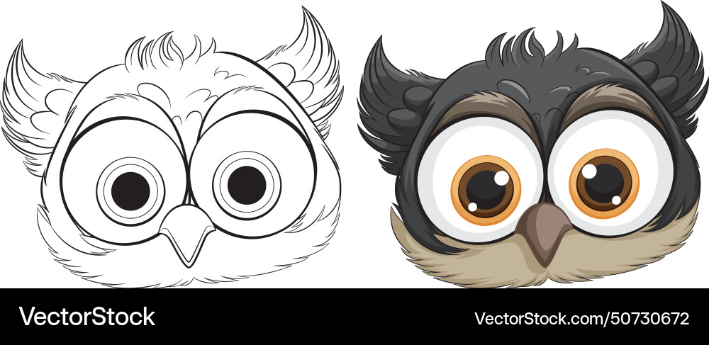 An owl line art and colored Royalty Free Vector Image