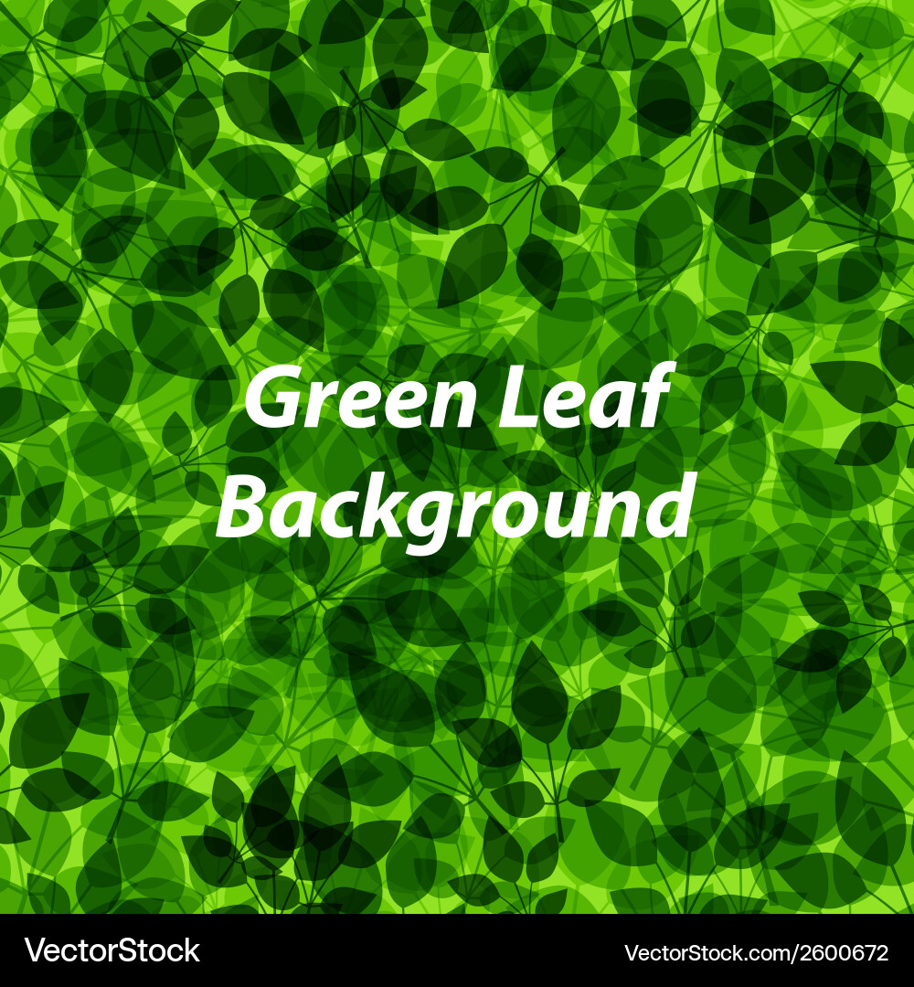 Green Leaf Pattern Royalty Free Vector Image - VectorStock