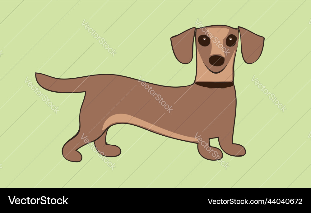 Sweet little dachshund Royalty Free Vector Image