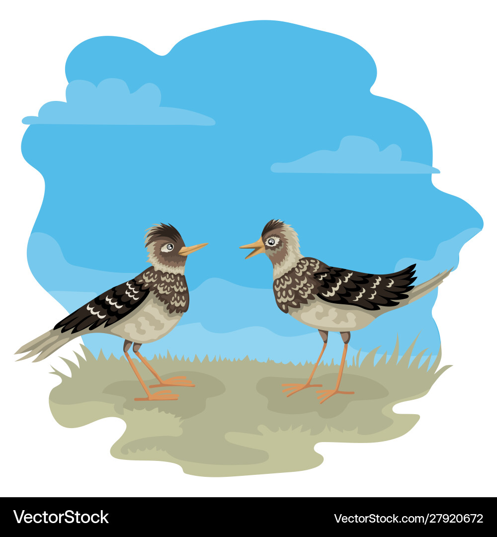 Two larks stand on grass blue sky Royalty Free Vector Image