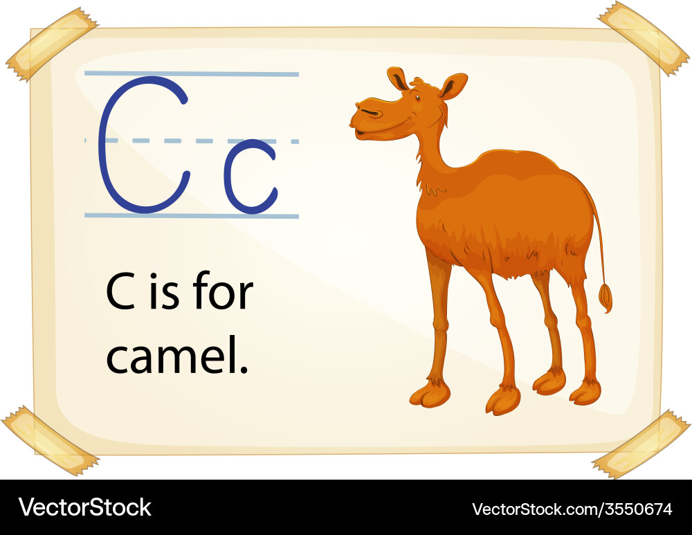 Alphabet c Royalty Free Vector Image - VectorStock