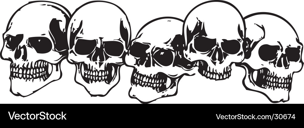 Macabre Skull Collection Royalty Free Vector Image
