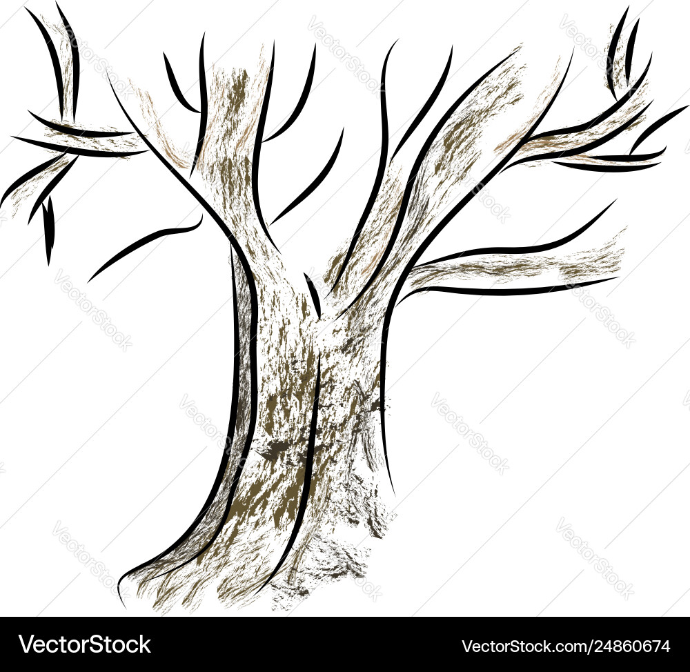 Big Old Tree Drawing