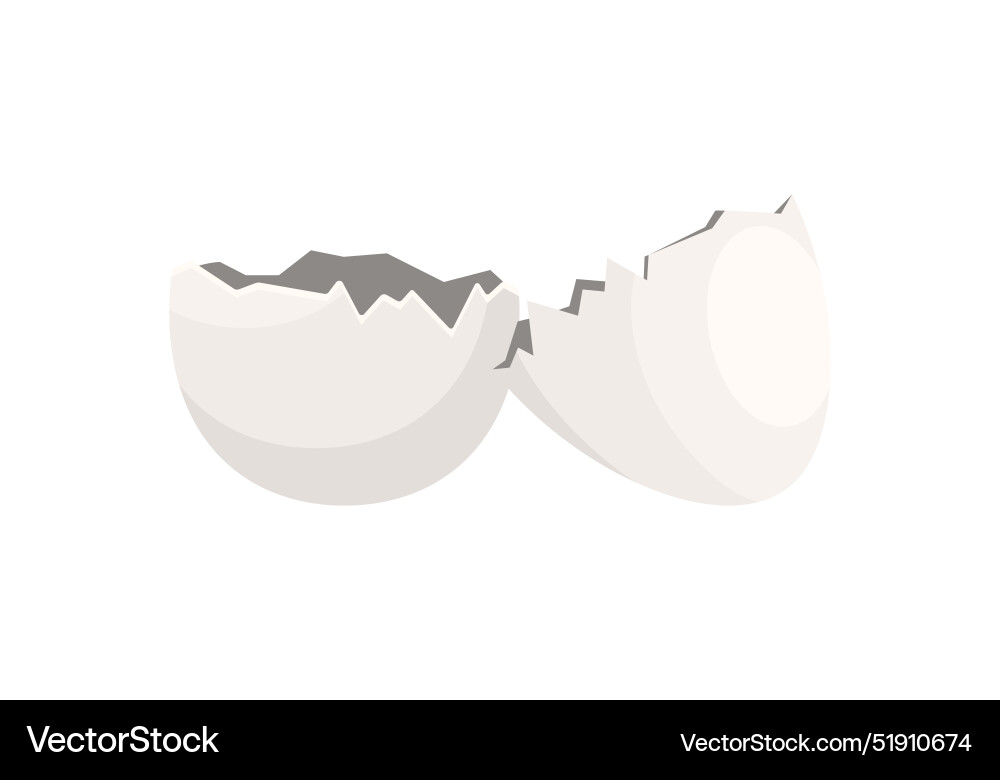White egg split in half open empty chicken Vector Image