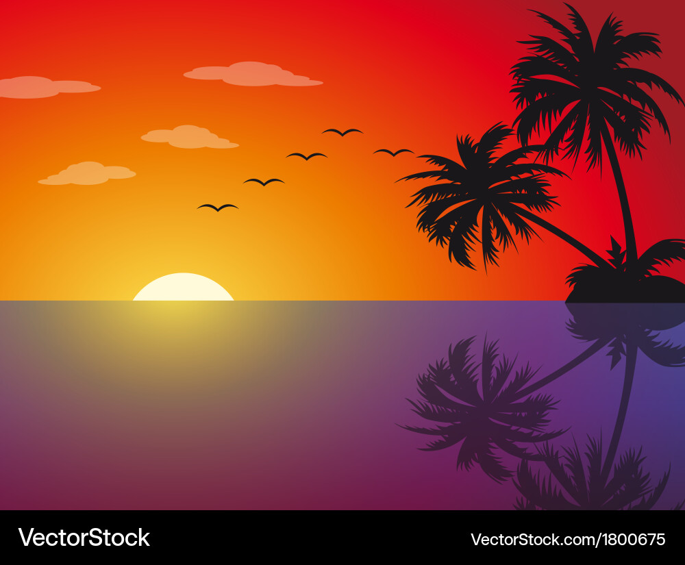 Tropical sunset Royalty Free Vector Image - VectorStock