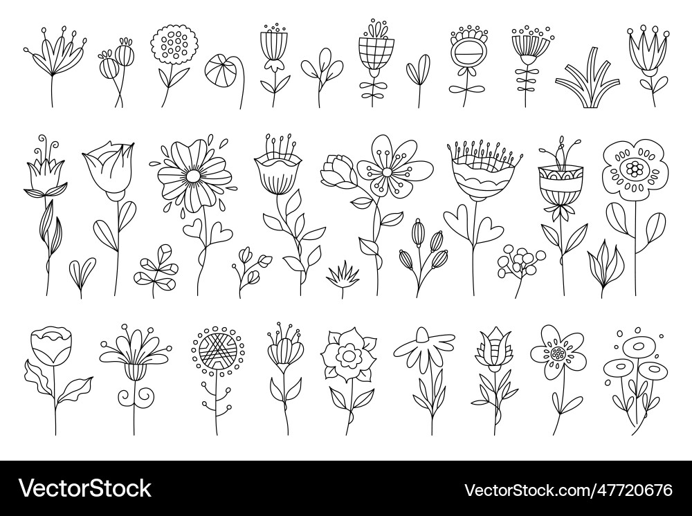 This stock features a collection of delicate Vector Image